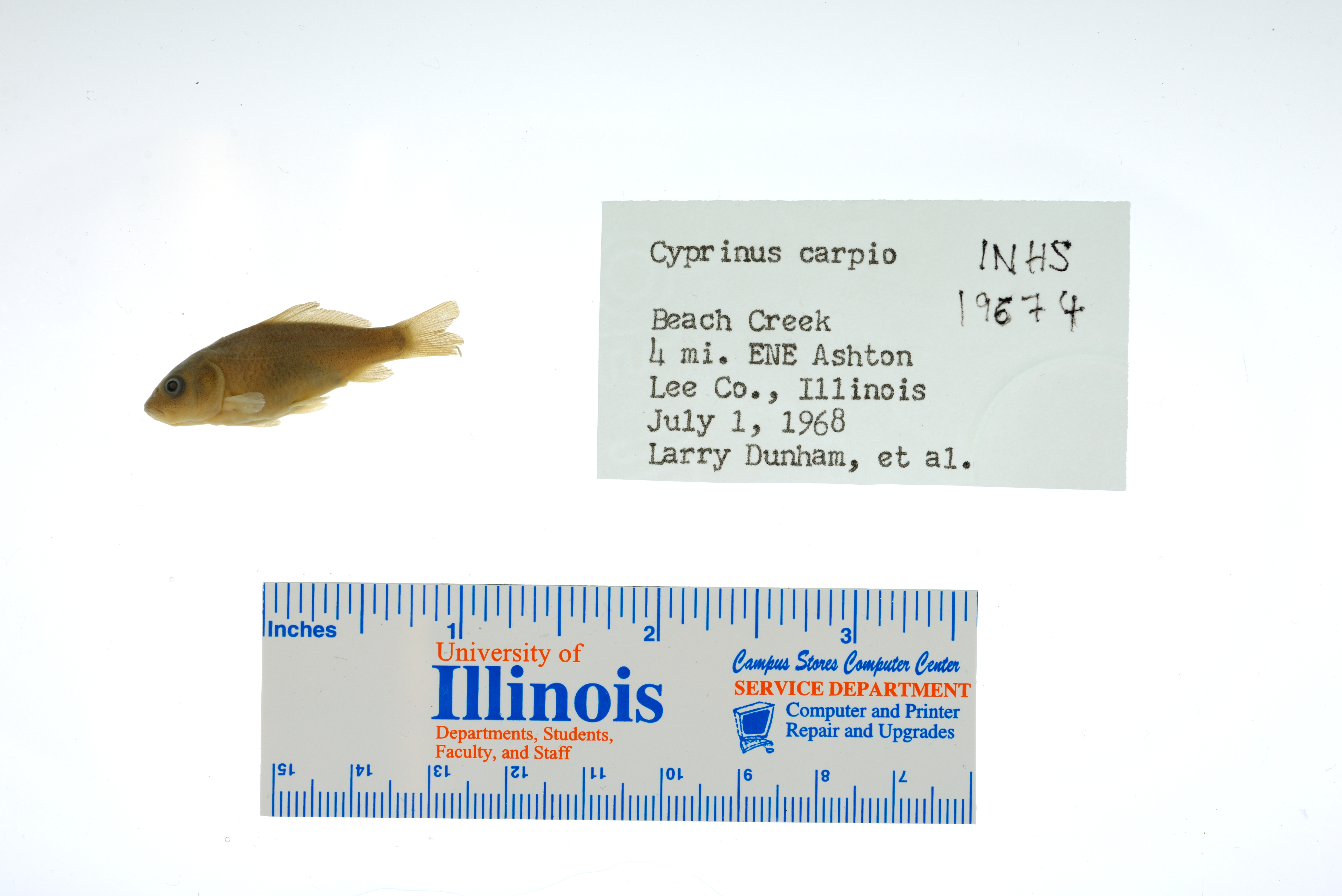 INHS Collections Data - Occurrence Profile