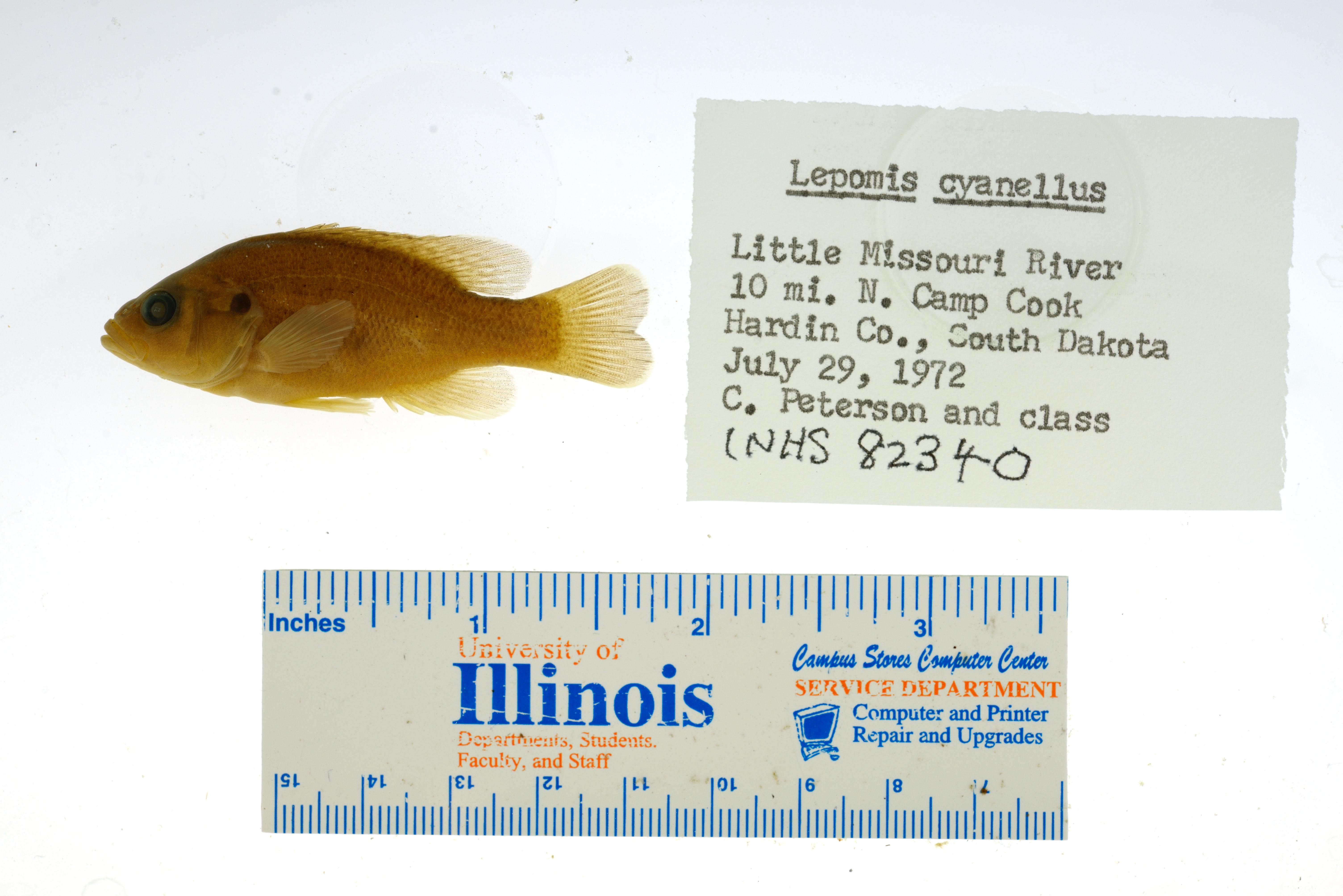 INHS Collections Data - Occurrence Profile