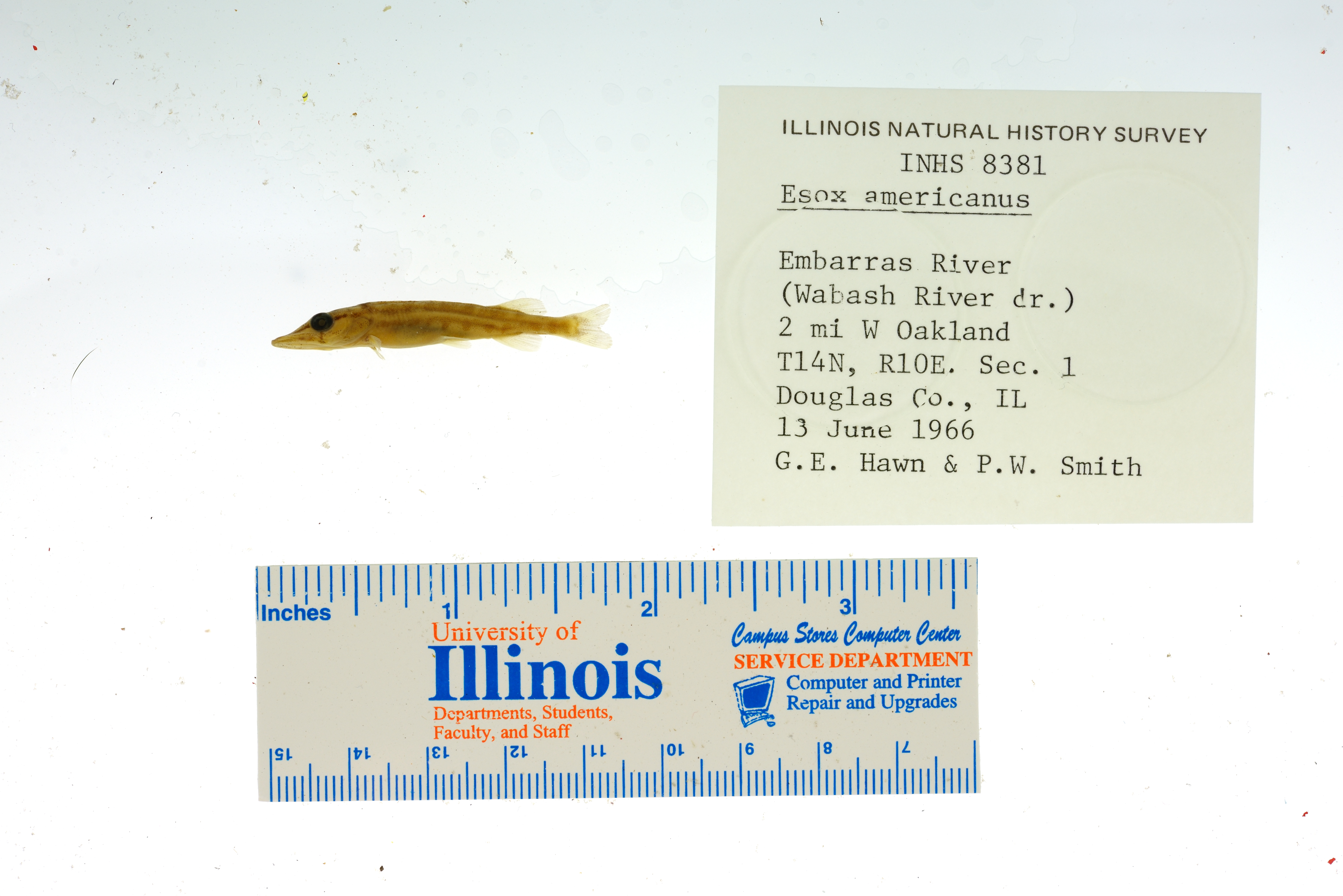 INHS Collections Data Detailed Collection Record Information