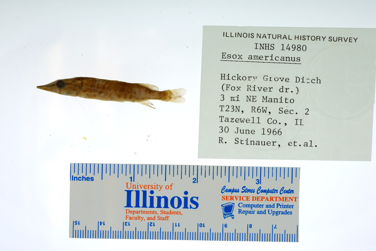 INHS Collections Data Detailed Collection Record Information