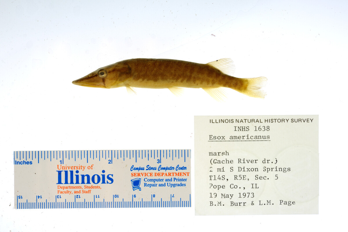 INHS Collections Data Detailed Collection Record Information