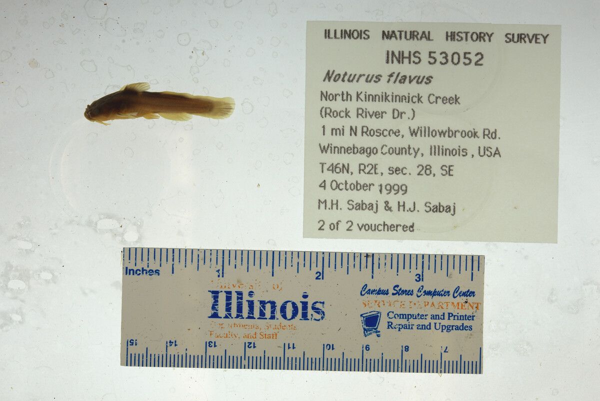 INHS Collections Data Detailed Collection Record Information