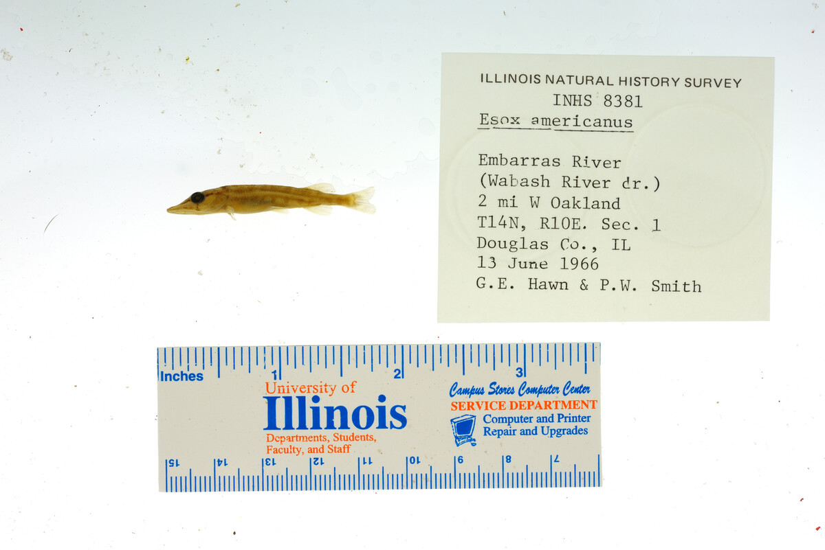 INHS Collections Data Detailed Collection Record Information