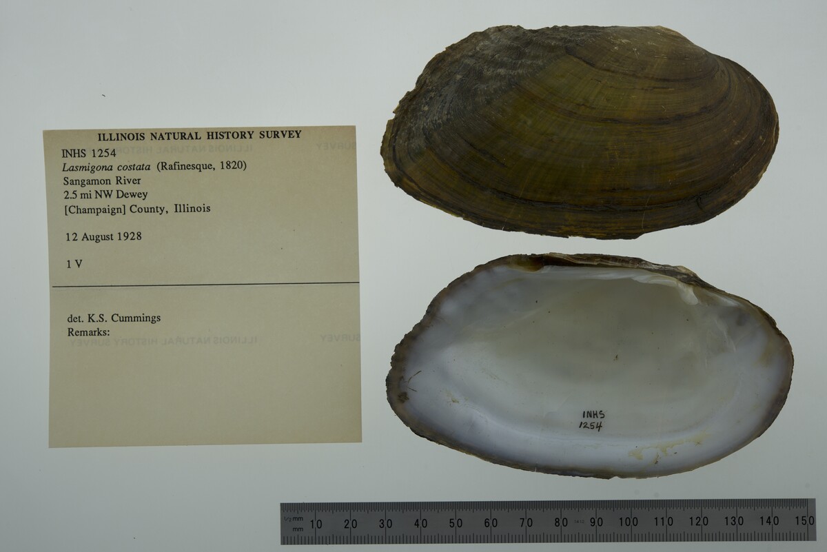 INHS Collections Data Detailed Collection Record Information