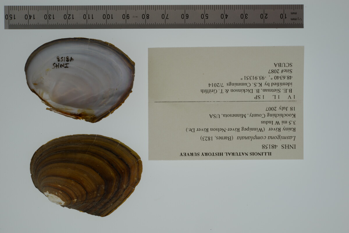 INHS Collections Data Detailed Collection Record Information