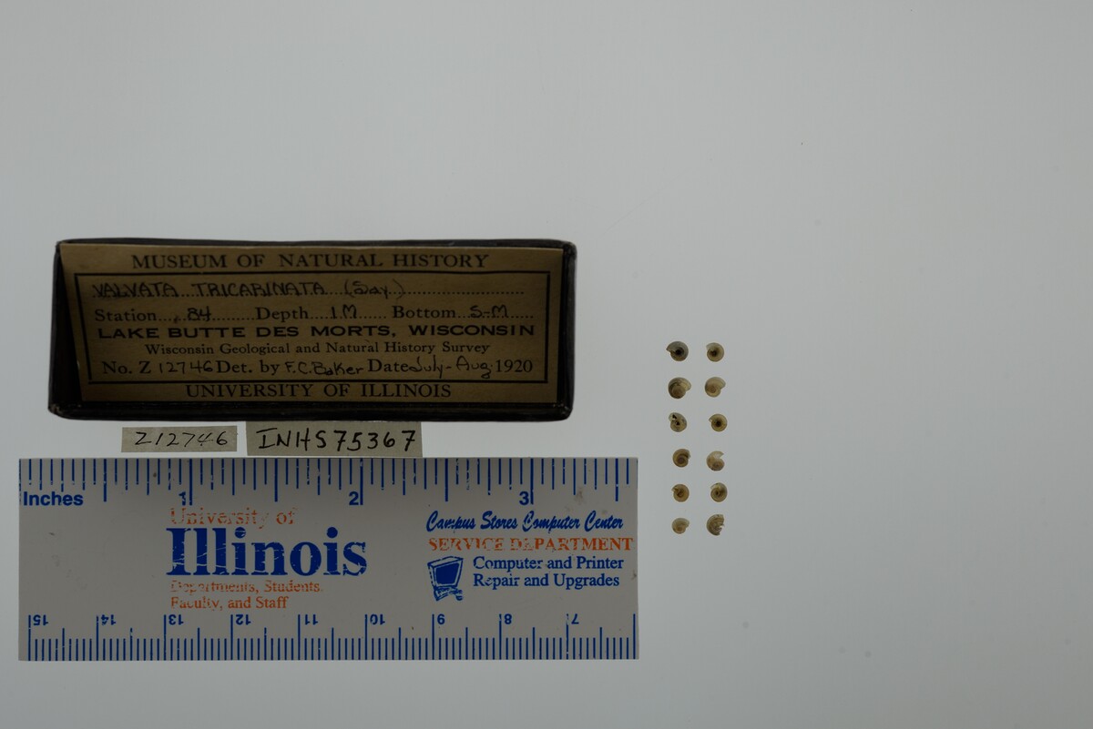 INHS Collections Data Detailed Collection Record Information