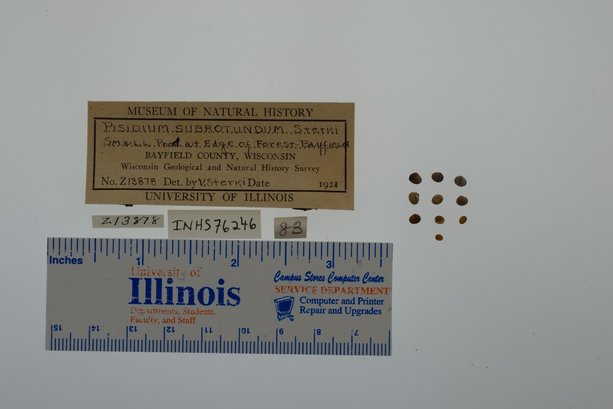 INHS Collections Data Detailed Collection Record Information