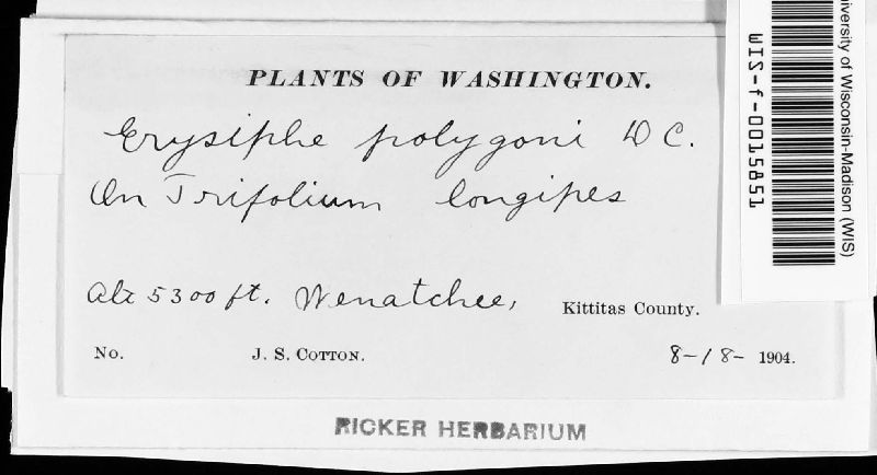 Mycology Collections Portal Image Details: #878604